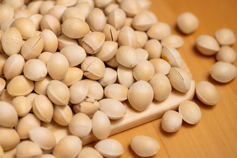 Pile of ginkgo seed nut stock image. Image of healthy - 284835289
