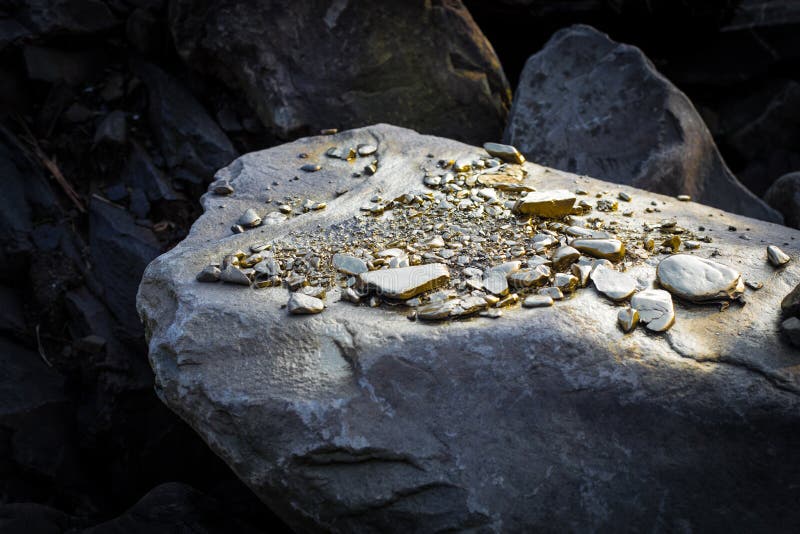 A Pile of Gold Nugget Grains, on Big River Stone. Golden Texture Stock ...