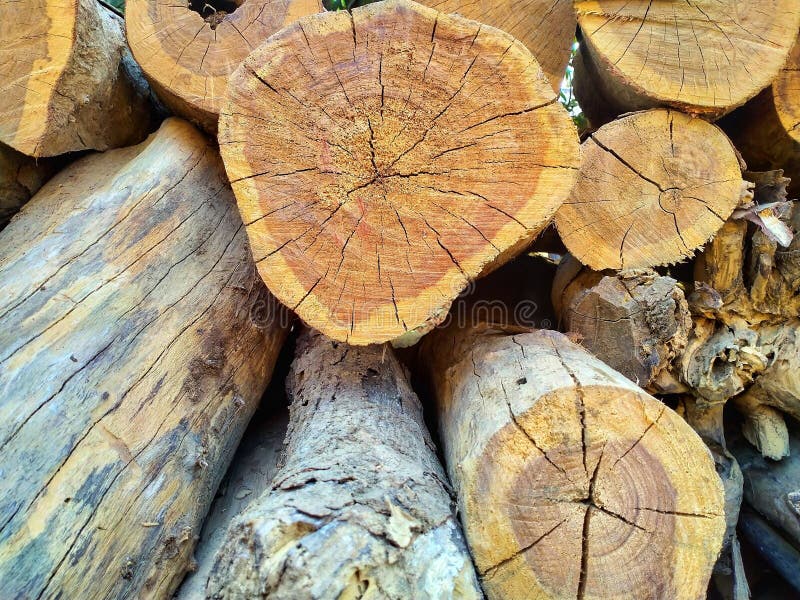 Quality Wood Background. Dark Texture of Boards, Top View Stock Photo ...