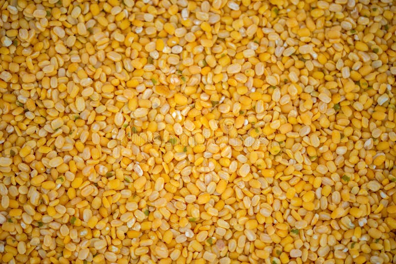 Dry Organic Split Half Moong or Mung Bean or Green Gram Stock Image ...