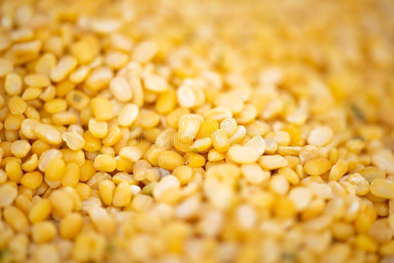 Dry Organic Split Half Moong or Mung Bean or Green Gram Stock Image ...