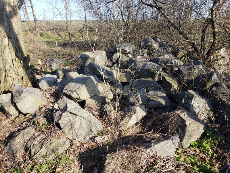 A Pile of Granite Stones in the Middle of a Forest Belt Stock Image ...