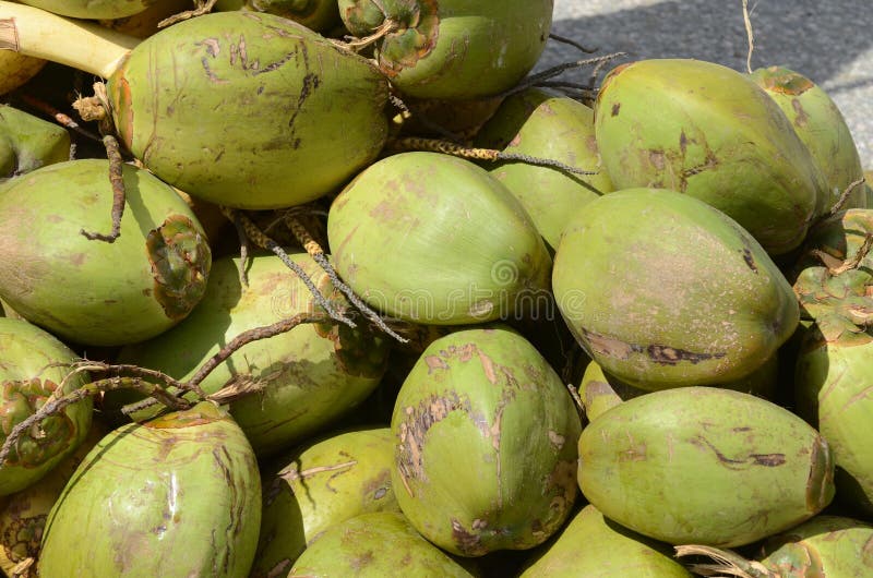 A Pile of Green Coconuts with Brown Spots on Them Stock Image - Image ...