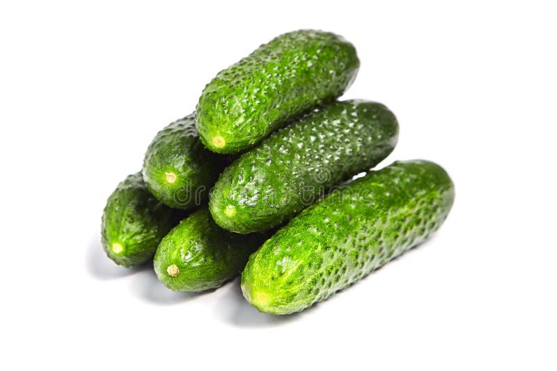 One Green Fresh Gherkin Isolated Stock Image - Image of green, vegan ...