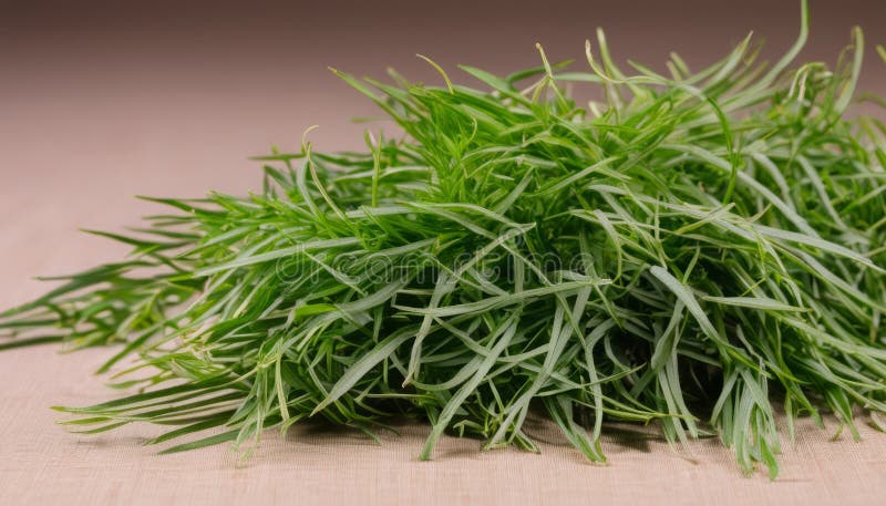 A Pile of Green Grass on a Table Stock Illustration - Illustration of ...