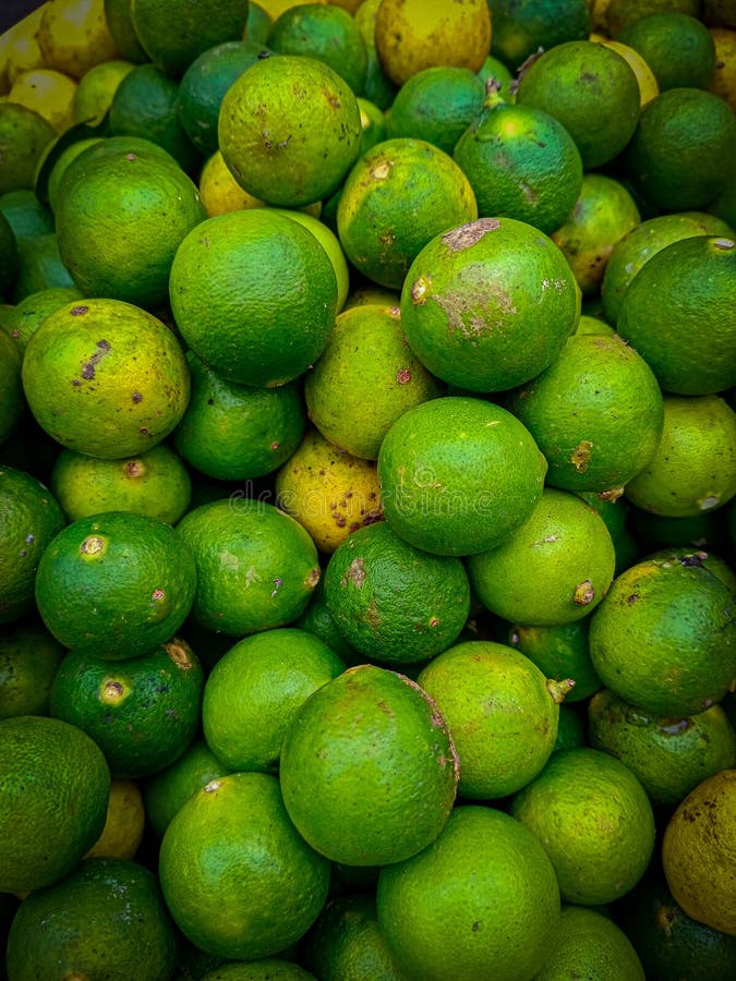 Pile of green lemons stock image. Image of traditional - 271166179