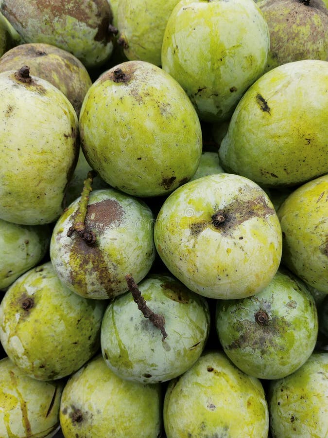 Pile of Green Mangoes, Mango or Fruit Design Material, Graphic Resource ...