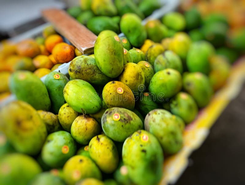 Pile of Green Mangoes for Sale Stock Photo - Image of sale, market: 385493752