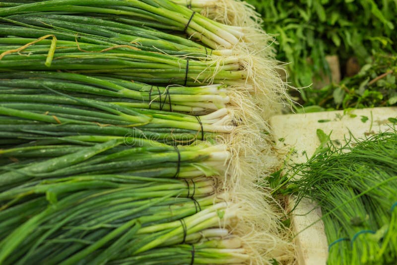 Pile of Green Onions - Scallion. Stock Photo - Image of veggies, bundle ...