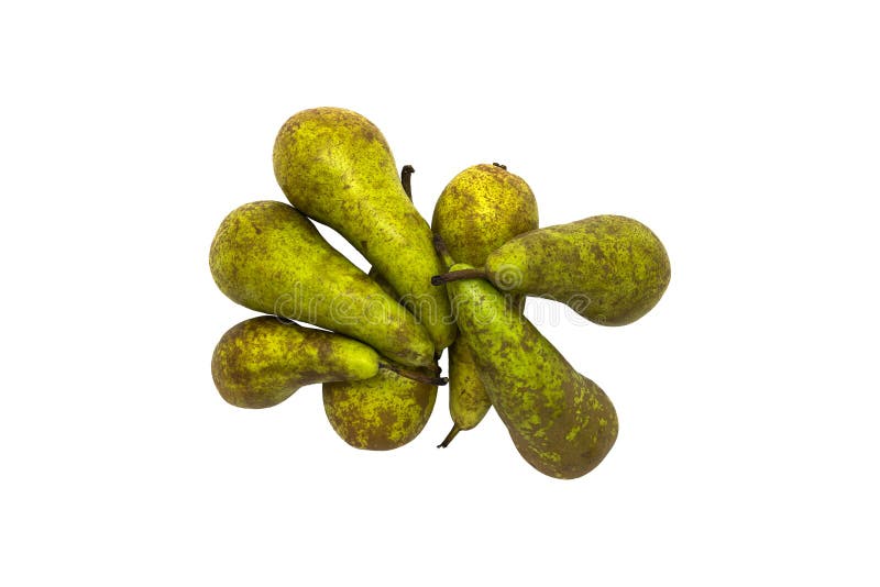 1,160 Pears Top View Isolated Stock Photos - Free & Royalty-Free Stock ...