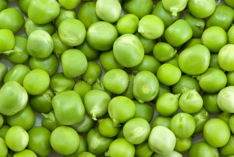 Pea grains stock photo. Image of grown, kitchen, herb - 93691652