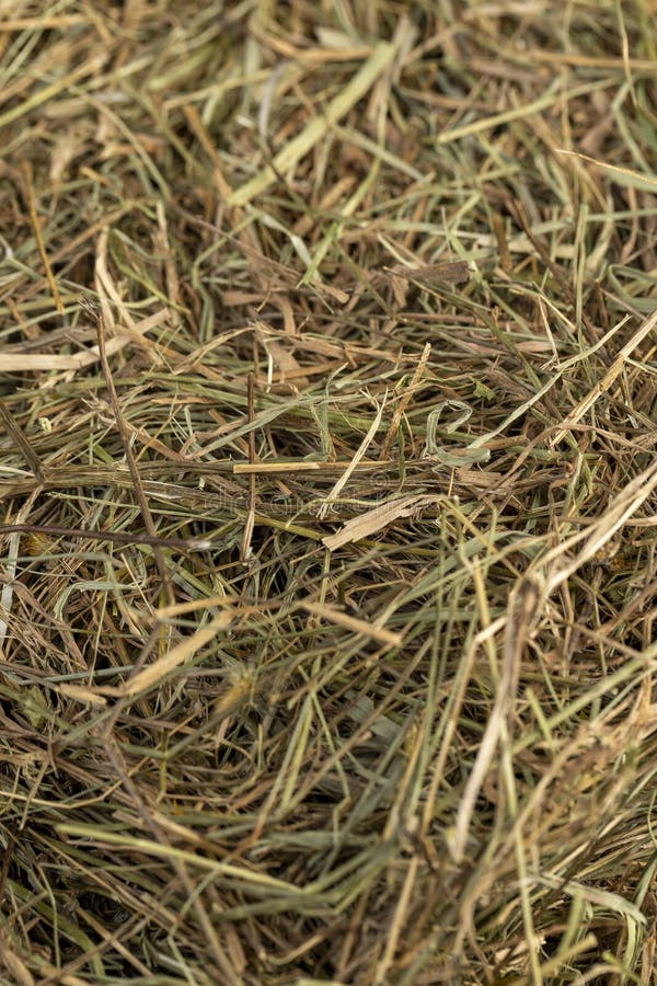 A Pile of Green Straw for Long-term Storage Stock Image - Image of ...
