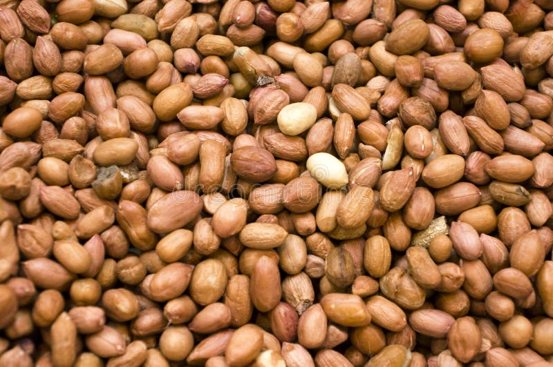 Pile of Ground Peanuts stock image. Image of peeled, roasted - 28385863