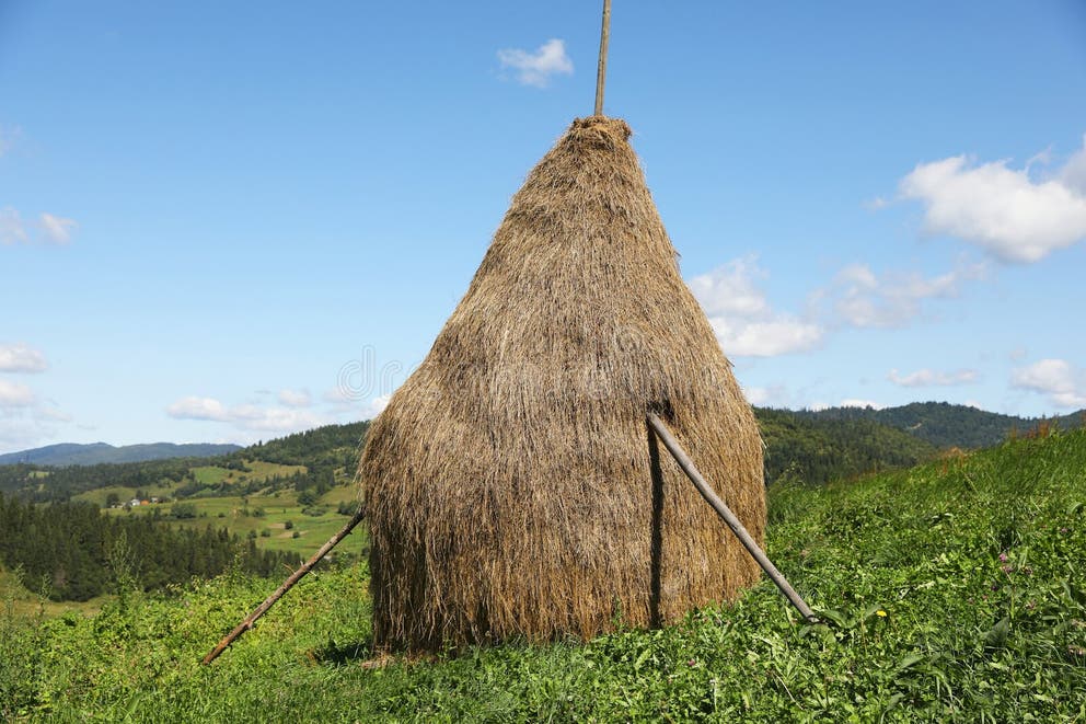 Pile of Hay on Field Under Blue Sky Stock Image - Image of nature ...