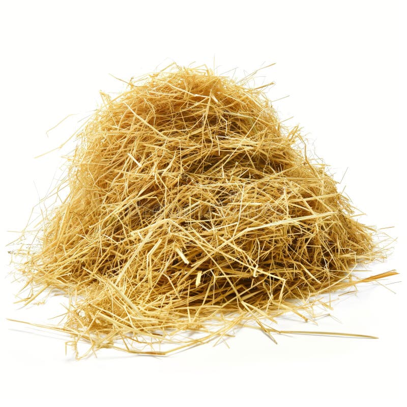 Pile of Hay Isolated on White Background Stock Photo - Image of animal ...