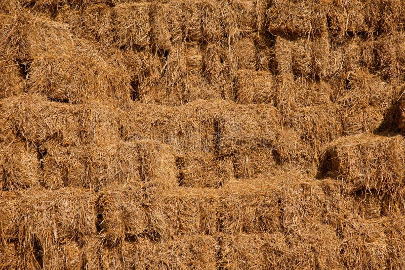 Big Pile of Straw stock image. Image of farming, crop - 18688709