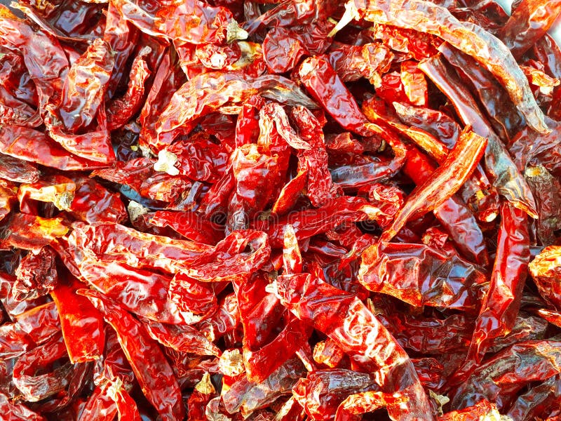 Pile or Heap of Dry Red Chillies Put in Sunlight in India Stock Photo ...