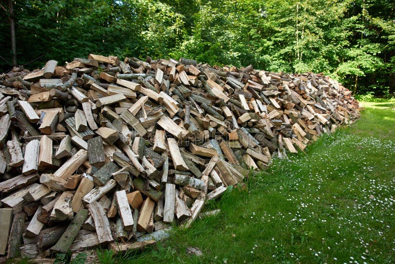 Pile of Heavy Wood Logs for Heating Stock Photo - Image of plant ...