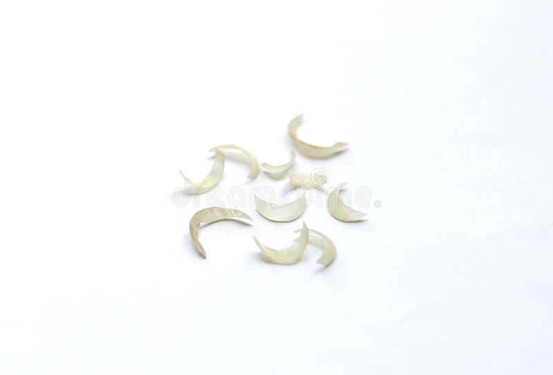 Pile of Human Nails Isolated on White Background Stock Image - Image of ...