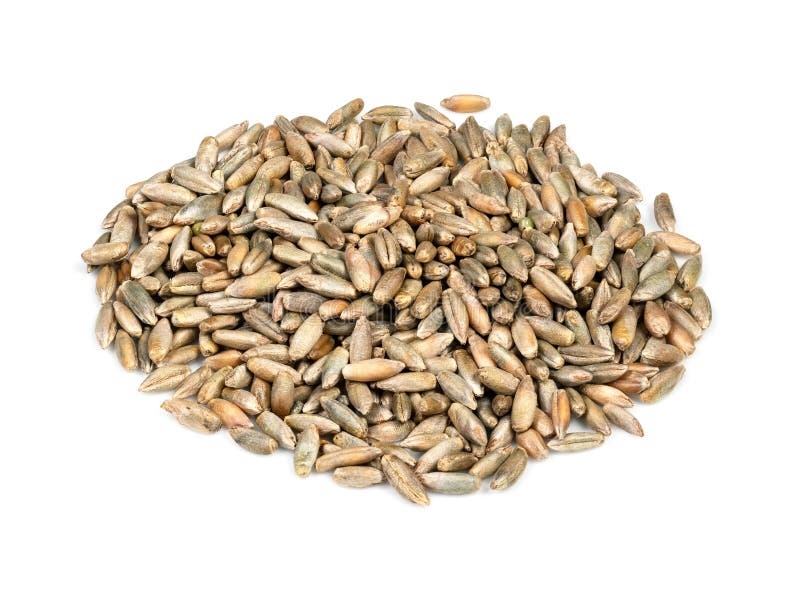 Pile of Husked Rye Grains Closeup on White Stock Image - Image of ...
