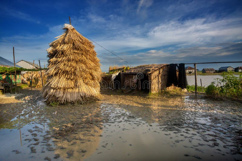 182 Damp Stick Stock Photos - Free & Royalty-Free Stock Photos from ...