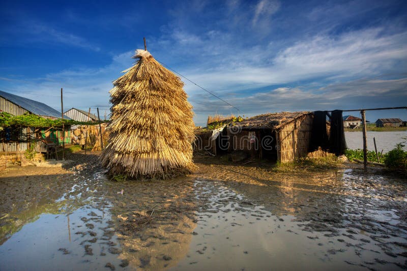 182 Damp Stick Stock Photos - Free & Royalty-Free Stock Photos from ...