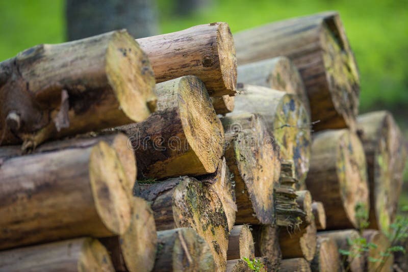Wood Logs Stock Pile stock photo. Image of grab, cutting - 28669734