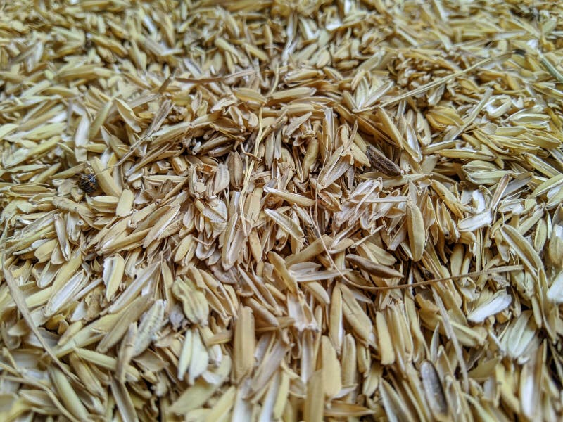 Leftover Rice Husks Stock Photos - Free & Royalty-Free Stock Photos ...