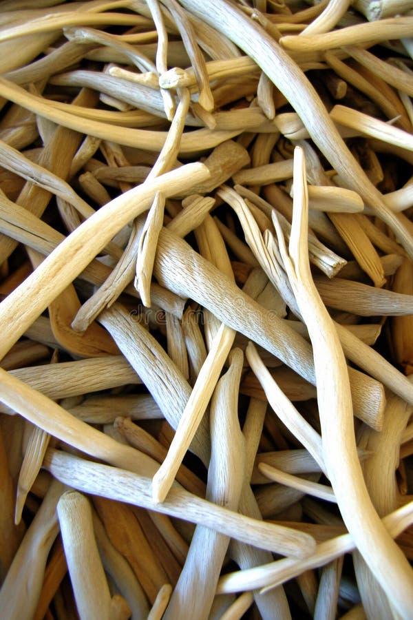Pile of Light Beige and Tan Twigs Sticks Texture High Quality Image ...