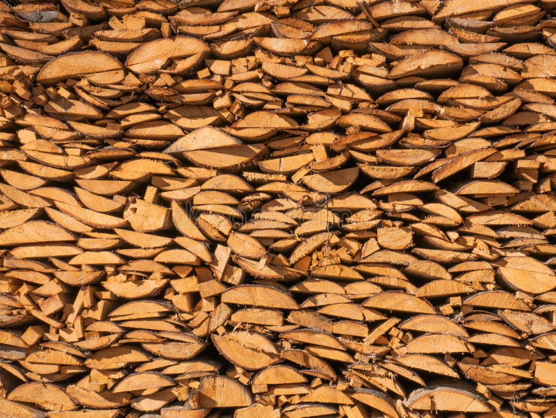 Stack of small firewood stock photo. Image of woodpile - 149066626
