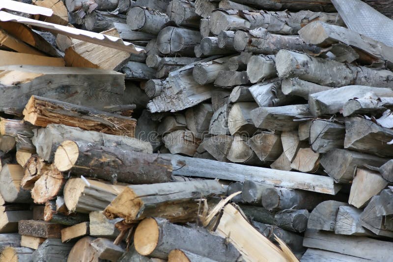 Pile of logs stock photo. Image of stack, pile, tree - 16574232