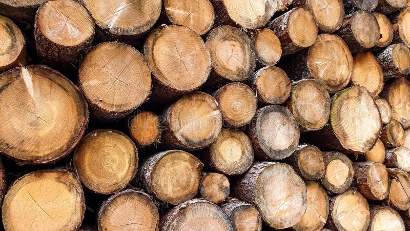 Pile of Logs As a Timber Industry and Lumber Commodity Concept Stock ...