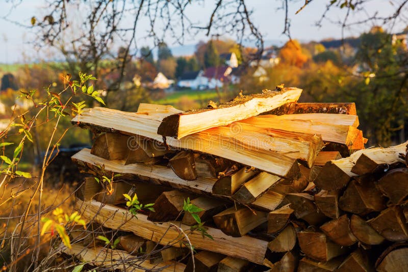 Pile of Logs in a Country Landscape Stock Image - Image of countryside ...