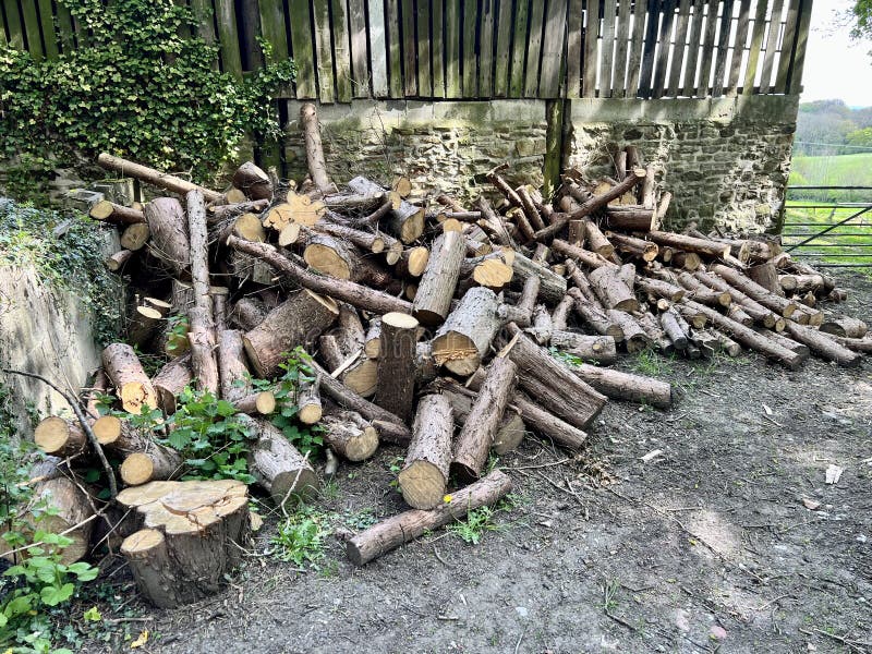 Log Pile stock image. Image of pile, trunk, logs, firewood - 246480425