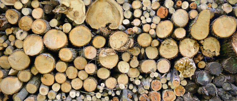 Pile of Logs for Firewood Piled by a Wall Stock Photo - Image of logs ...