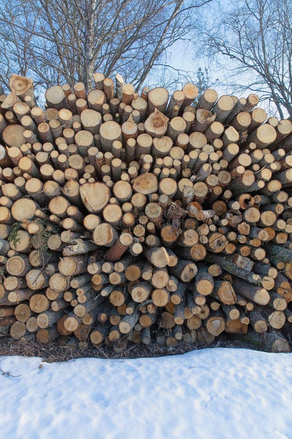 Log pile. stock image. Image of landscape, logging, timber - 345868783