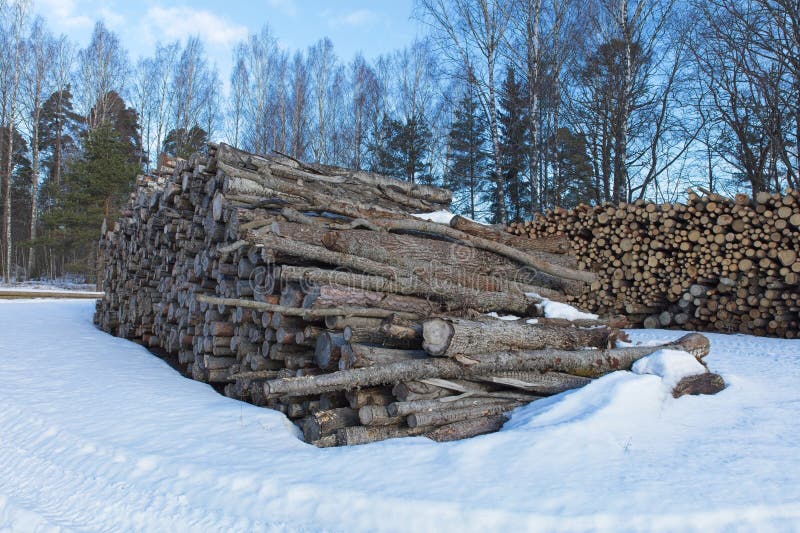 Log pile. stock image. Image of timber, industry, forestry - 345866519