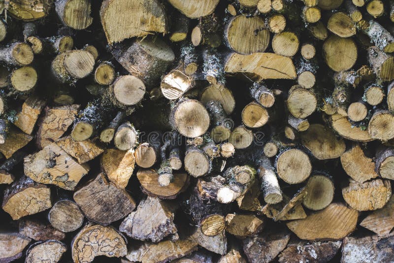 Pile of logs in log store stock image. Image of round - 195100583