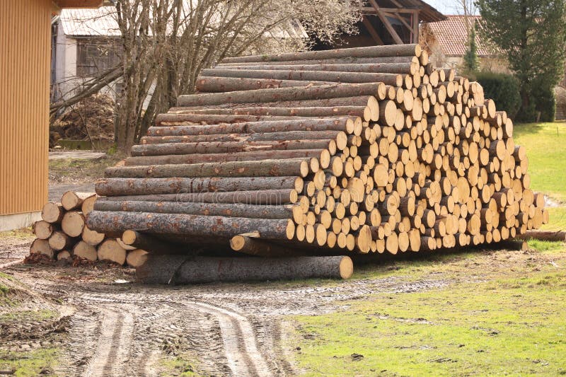 A Pile of Logs is Stacked in a Yard Stock Photo - Image of green ...