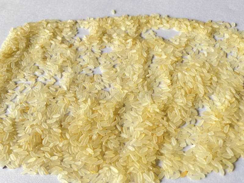 A Pile of Long Rice Grains, Golden Colour Rice, Background Rice Stock ...