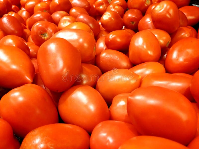 A Pile of Loose, Bulk Raw Red Roma Plum Tomatoes Stock Image - Image of ...
