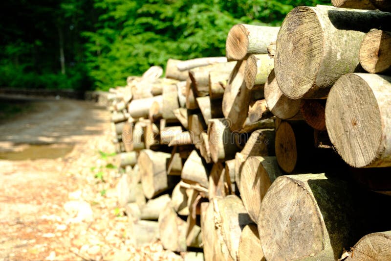 Pile of lumber stock photo. Image of power, giant, autumn - 278940184