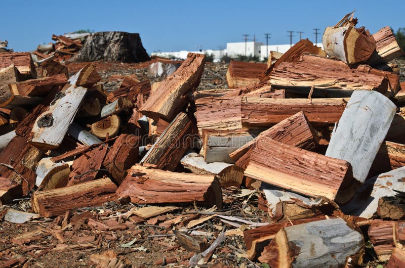 Pile of Lumber on Ground Covered with Dry Wood Stock Photo - Image of ...