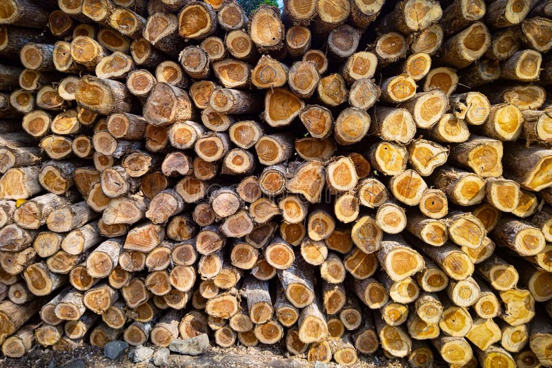 Pile of Lumber in a Row. Log Stock Image - Image of autumn, pattern ...