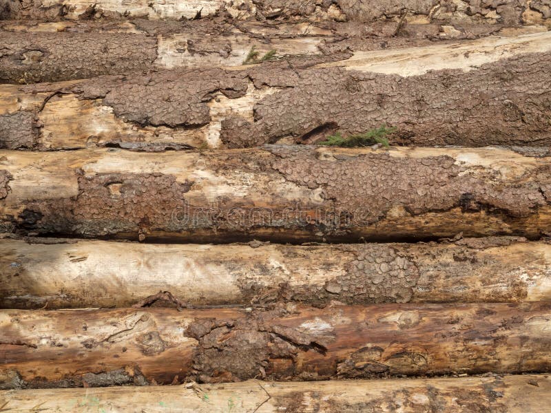 Stacked Lumber stock image. Image of lumber, stacked - 119355715