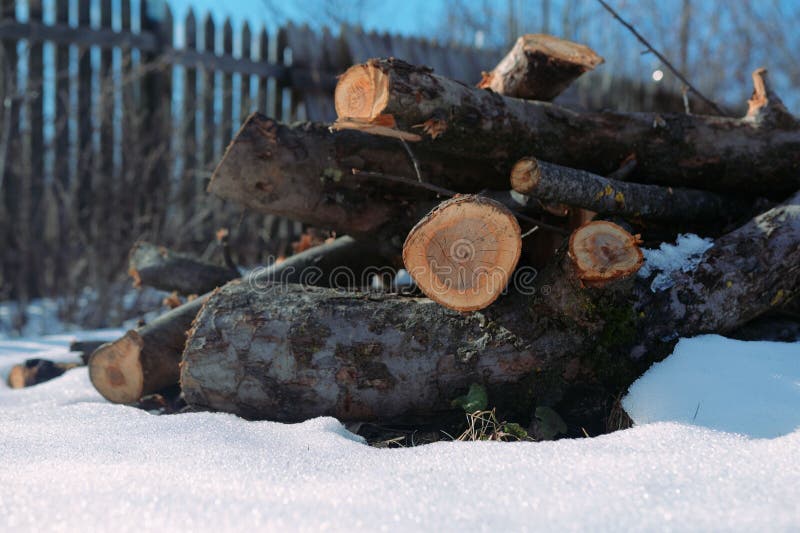 Pile of Lumbers on the Snowy Field Stock Image - Image of pile, cold ...