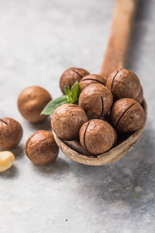 Pile of Macadamia Nuts in Whole Kernels and Half Opened on Wooden ...