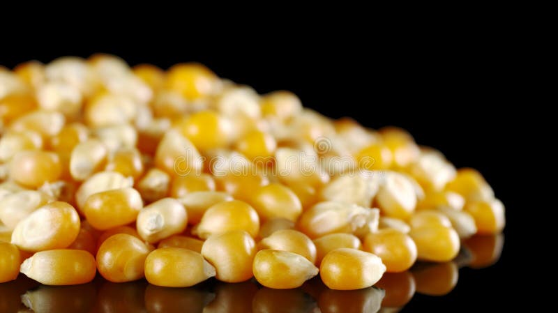 Pile of Maize Kernels stock photo. Image of maize, ingredient - 18452874