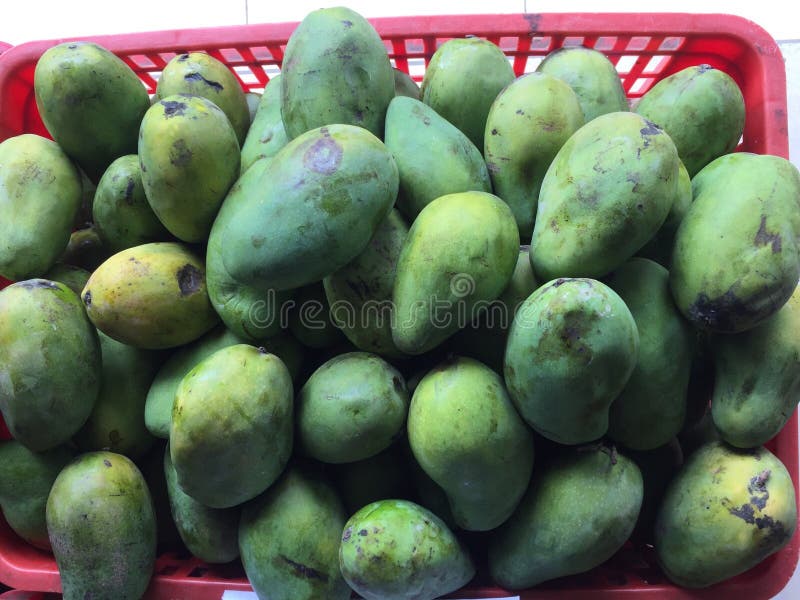 260 Ripe Mango Pile Basket Stock Photos - Free & Royalty-Free Stock ...