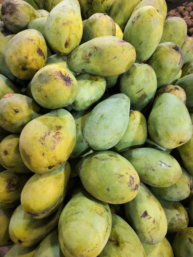 A pile of mangoes for sale stock image. Image of asia - 351074895